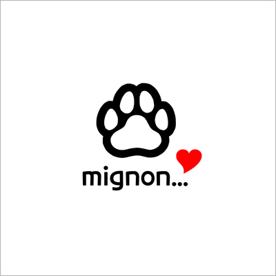 犬の多頭飼いや他のペットがいる時のお迎えの注意点 | 【 mignon-dog ミニョンドッグ