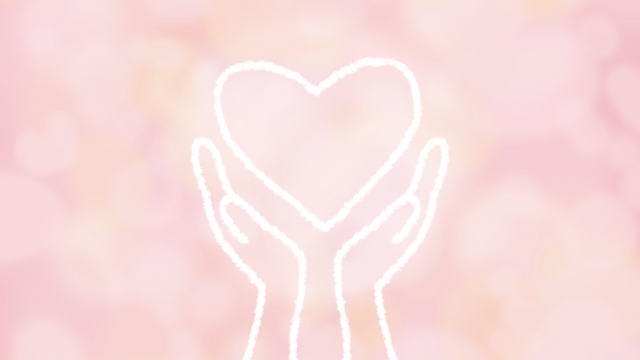 早期発見が第一！犬のがんの種類 | 【 mignon-dog ミニョンドッグ