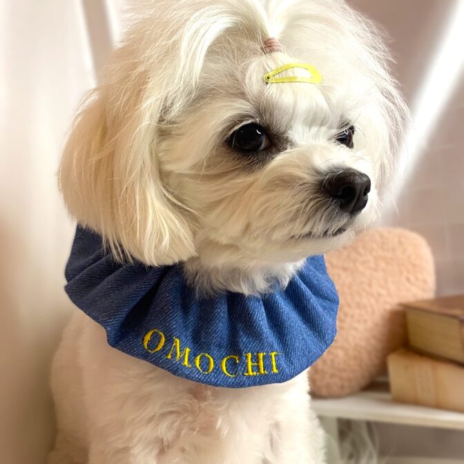 【お名前刺繍】デニムルックガーゼのケープ | 【 mignon-dog ミニョンドッグ